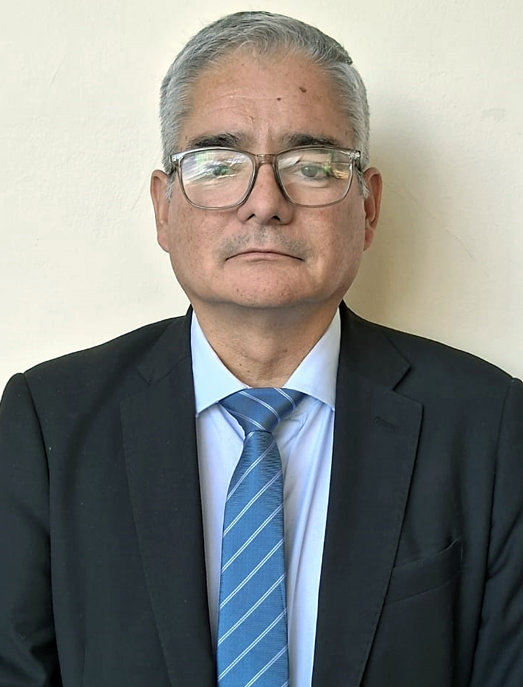 PROFESORADO – LICEO MADRE VICENCIA