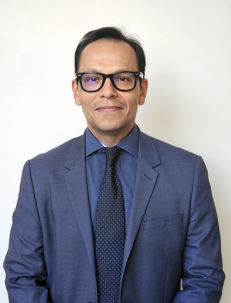 EQUIPO PEDAGÓGICO – LICEO MADRE VICENCIA